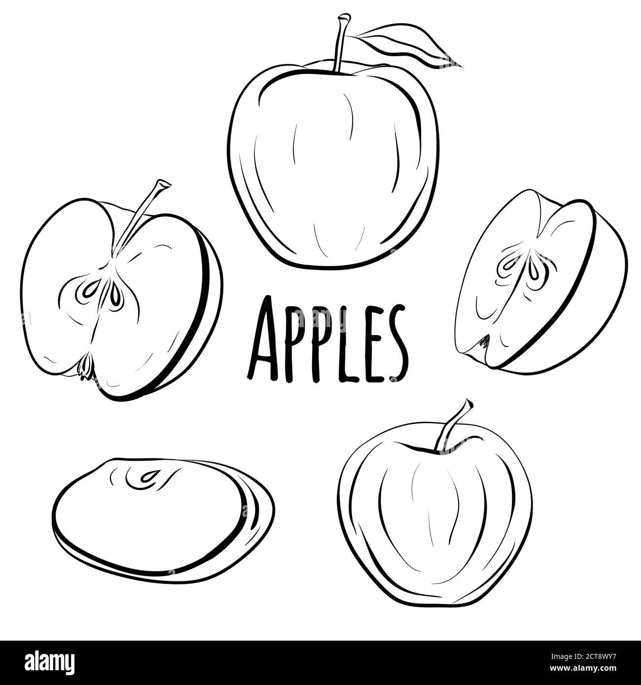 Set of apples of different shapes. Single and halves of apples. Black ...