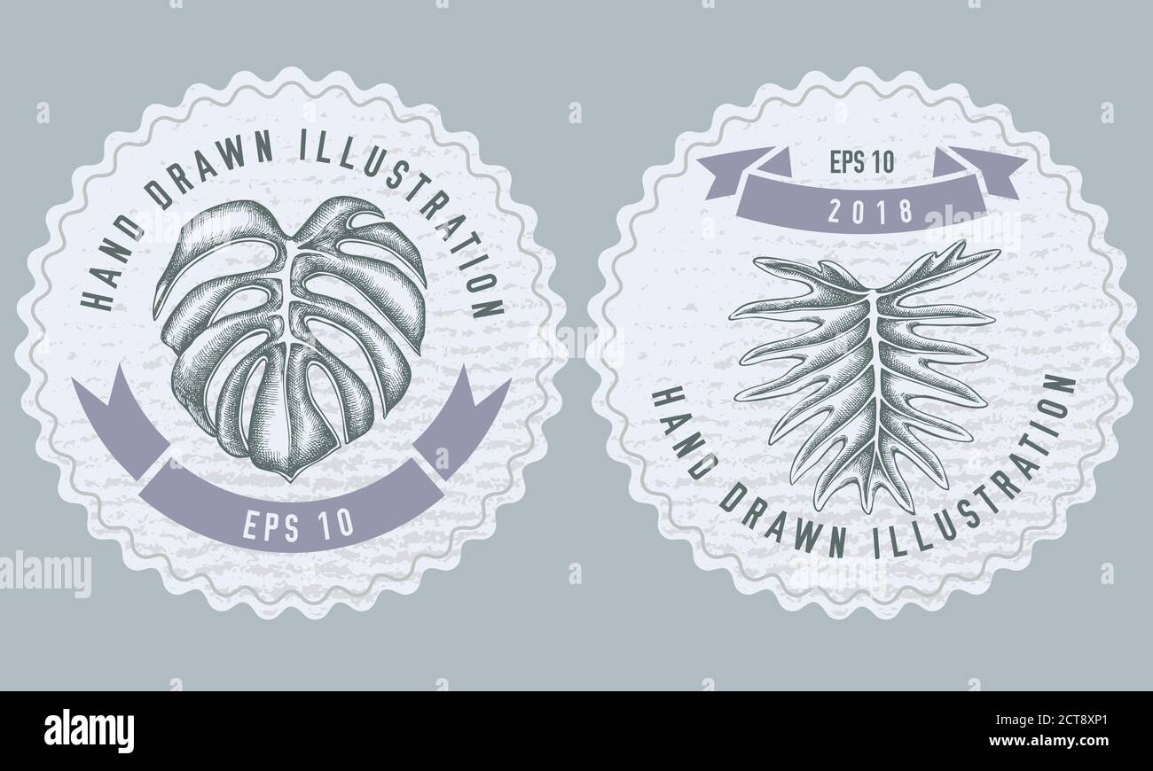 Monstera emblem hi-res stock photography and images - Alamy