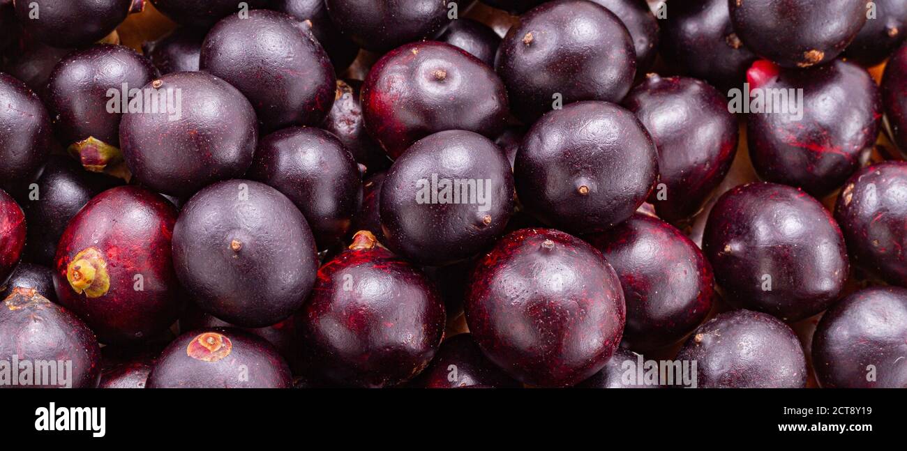 Acai fruit, fruit of Amazonian origin are attributed many medicinal ...