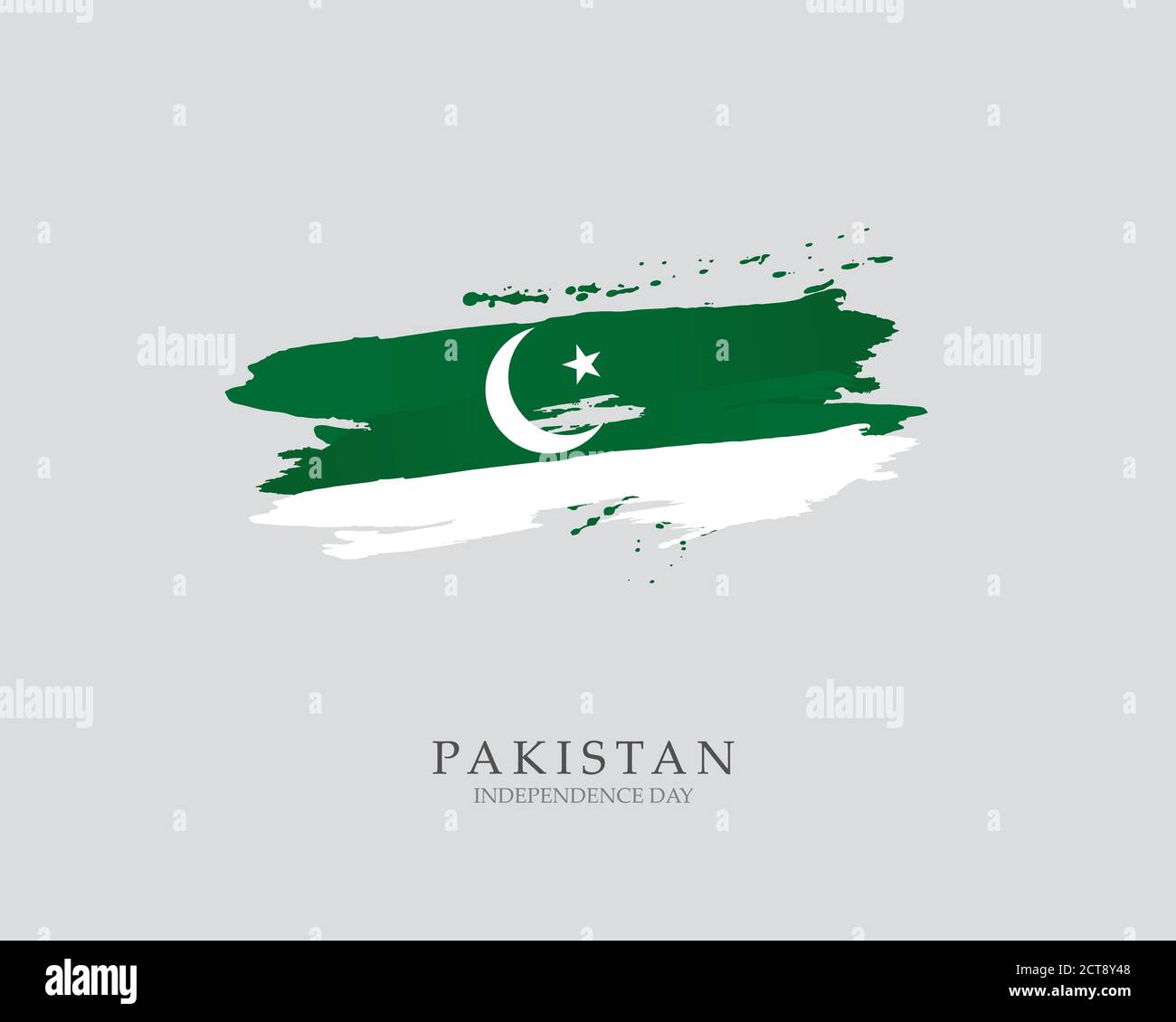 Flag of Pakistan Brush strokes drawn by hand Vector illustration on ...