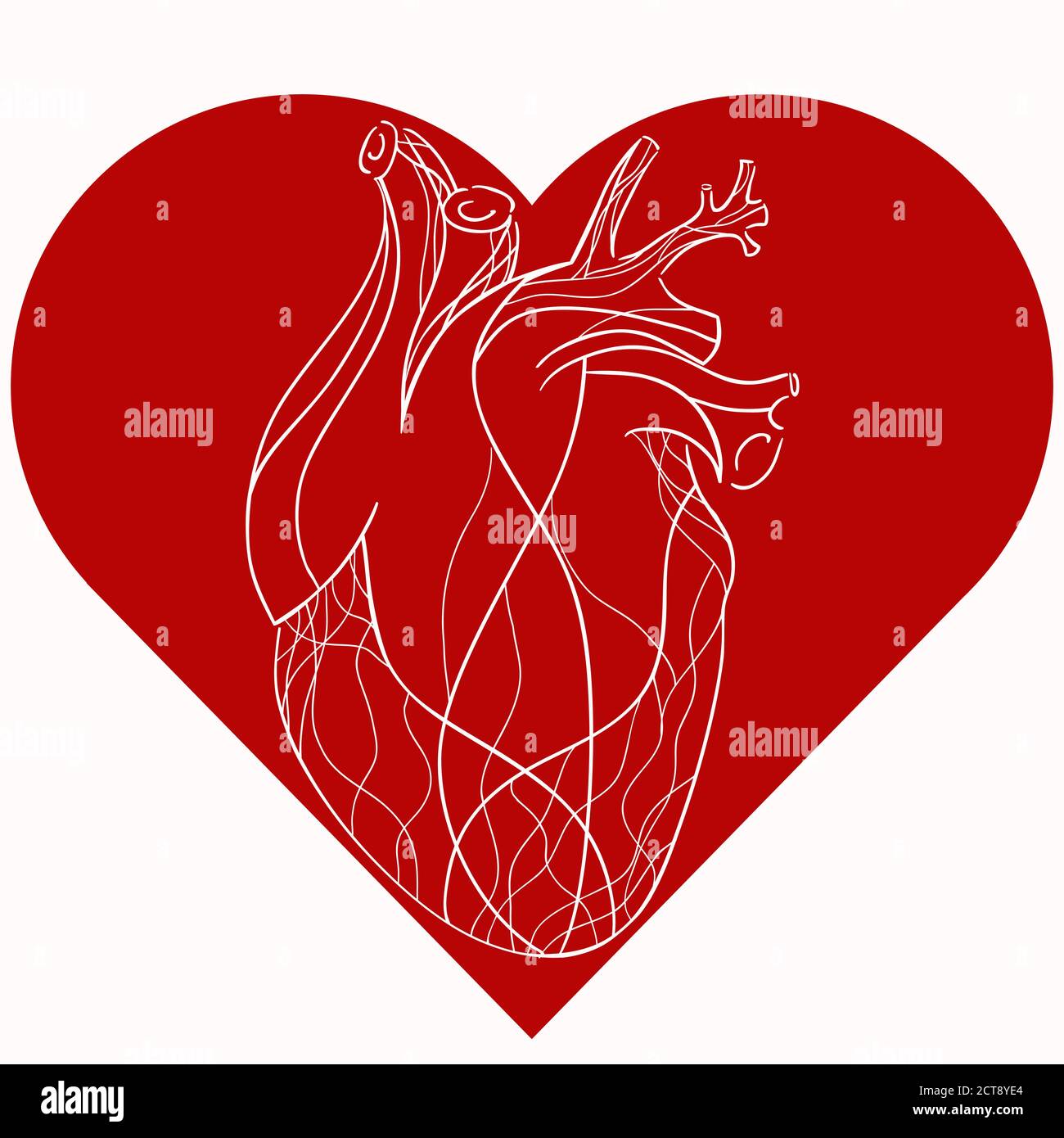 Vector illustration of realistic stylized heart in red heart. Vector ...