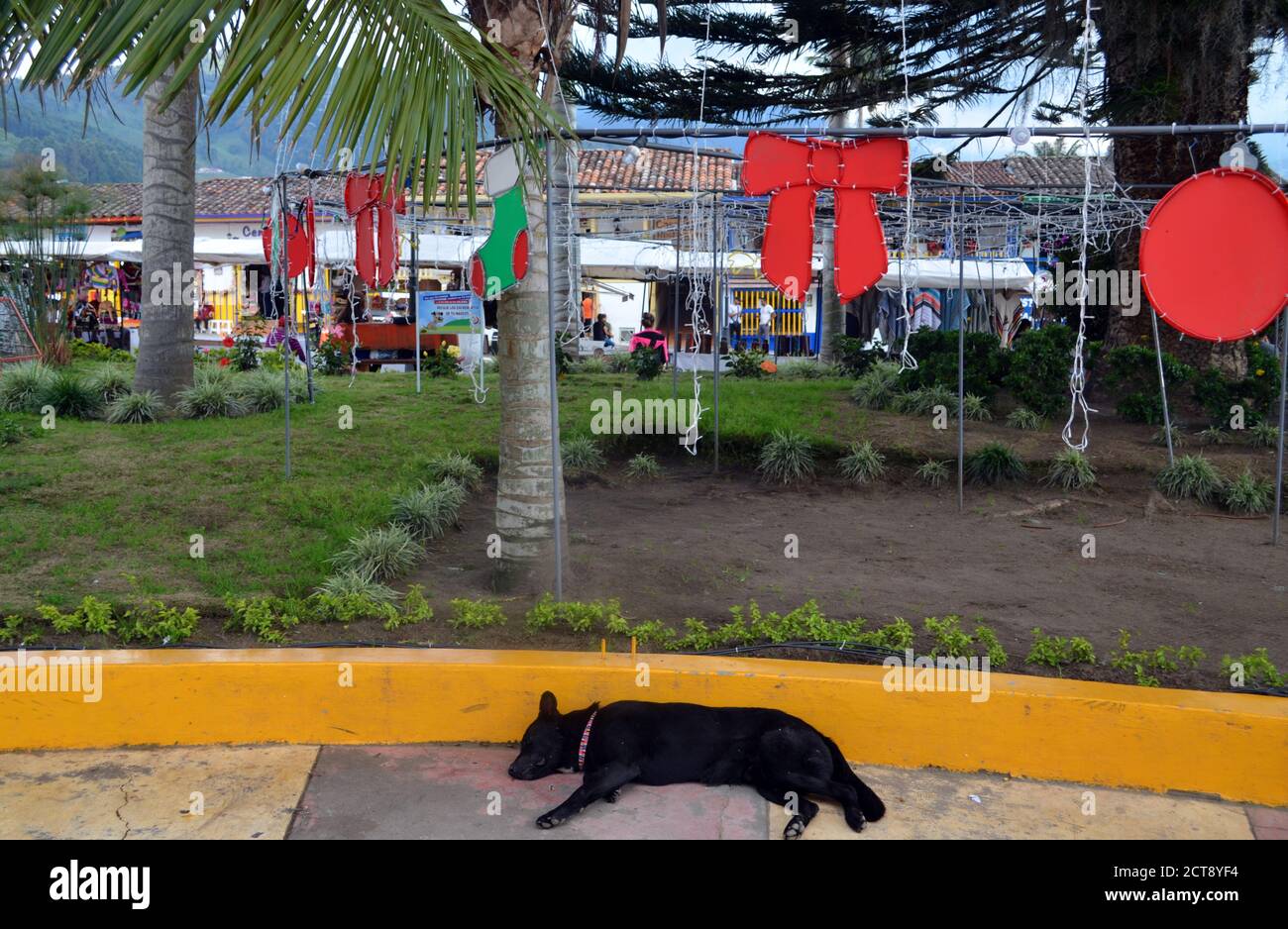 Colombia - Sleeping Dog in Parque Salento Stock Photo - Alamy