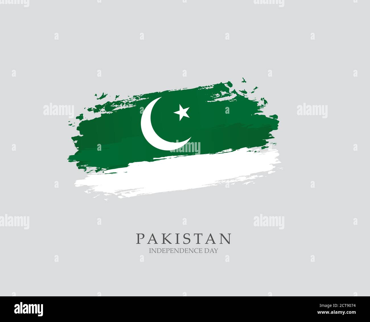 Flag of Pakistan Brush strokes drawn by hand Vector illustration on ...