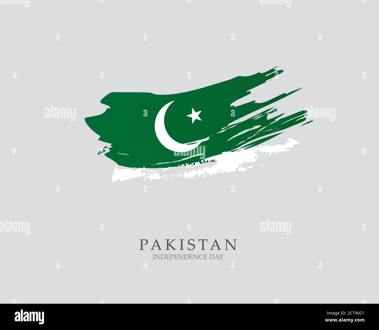Flag of Pakistan Brush strokes drawn by hand Vector illustration on ...