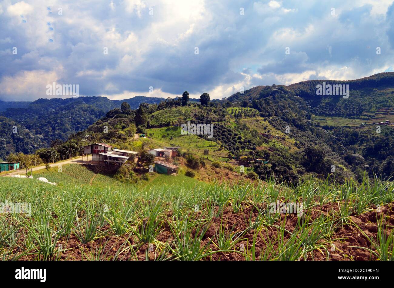 Colombia - Mountain Countryside south of Pereira Stock Photo - Alamy