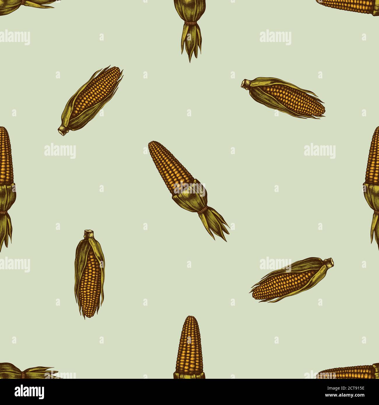 Seamless pattern with hand drawn colored corn stock illustration Stock ...