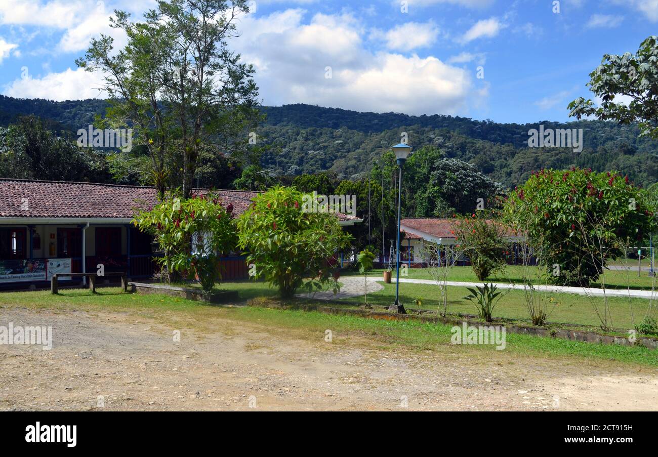 Quimbaya colombia hi-res stock photography and images - Alamy