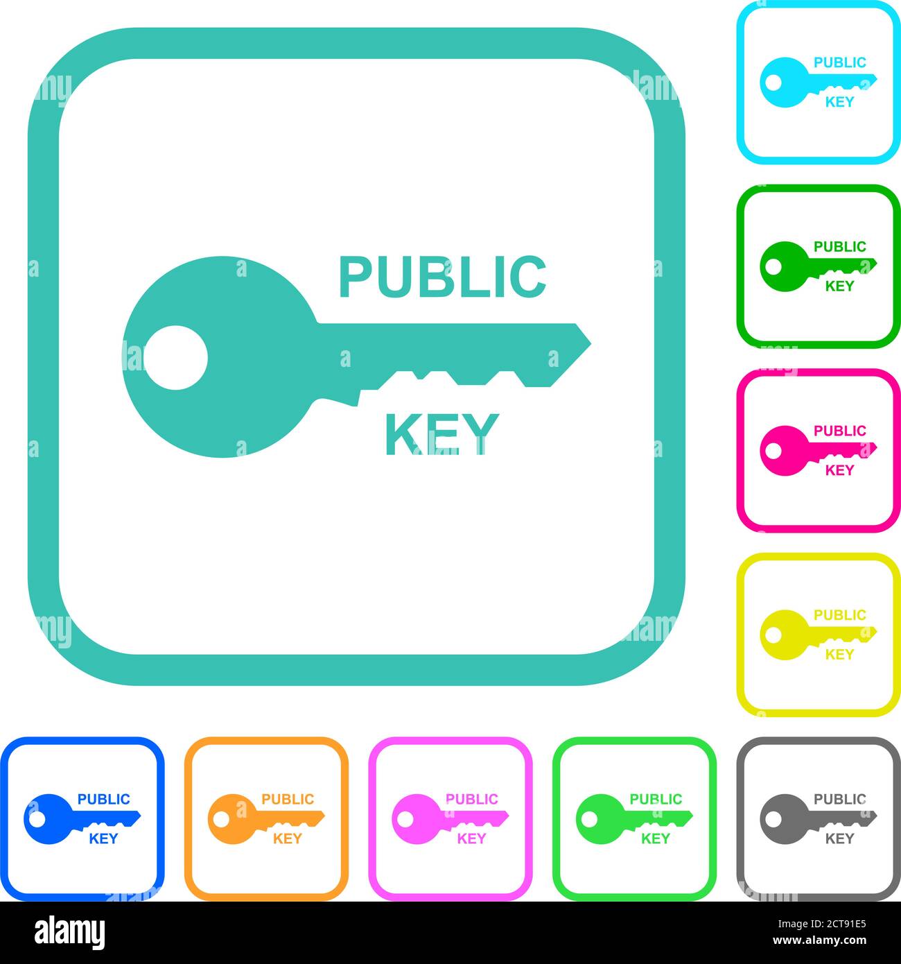 Public key vivid colored flat icons in curved borders on white ...