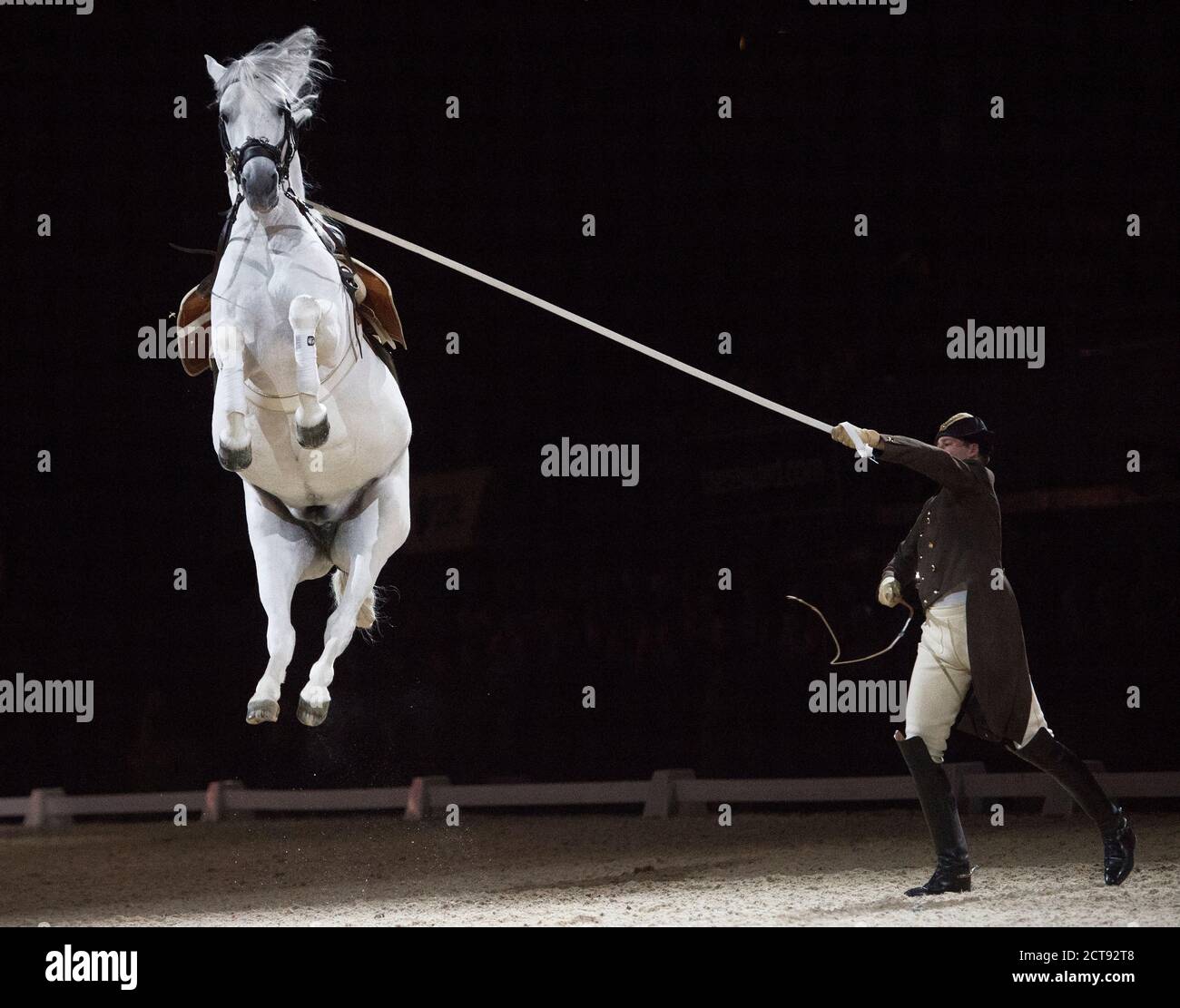 Lipizzaner Horses Jumping