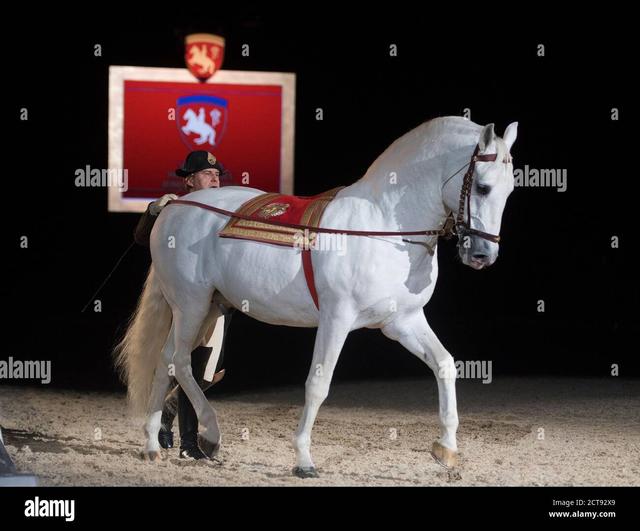 THE SPANISH RIDING SCHOOL PERFORM AT THE WEMBLEY ARENA, LONDON. PHOTO ...