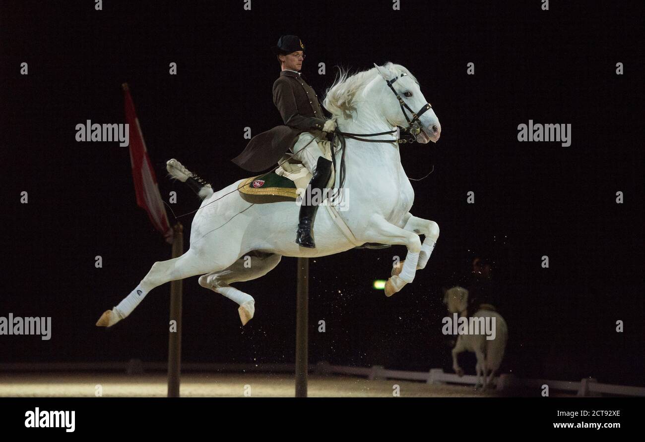 THE SPANISH RIDING SCHOOL PERFORM AT THE WEMBLEY ARENA, LONDON. PHOTO ...