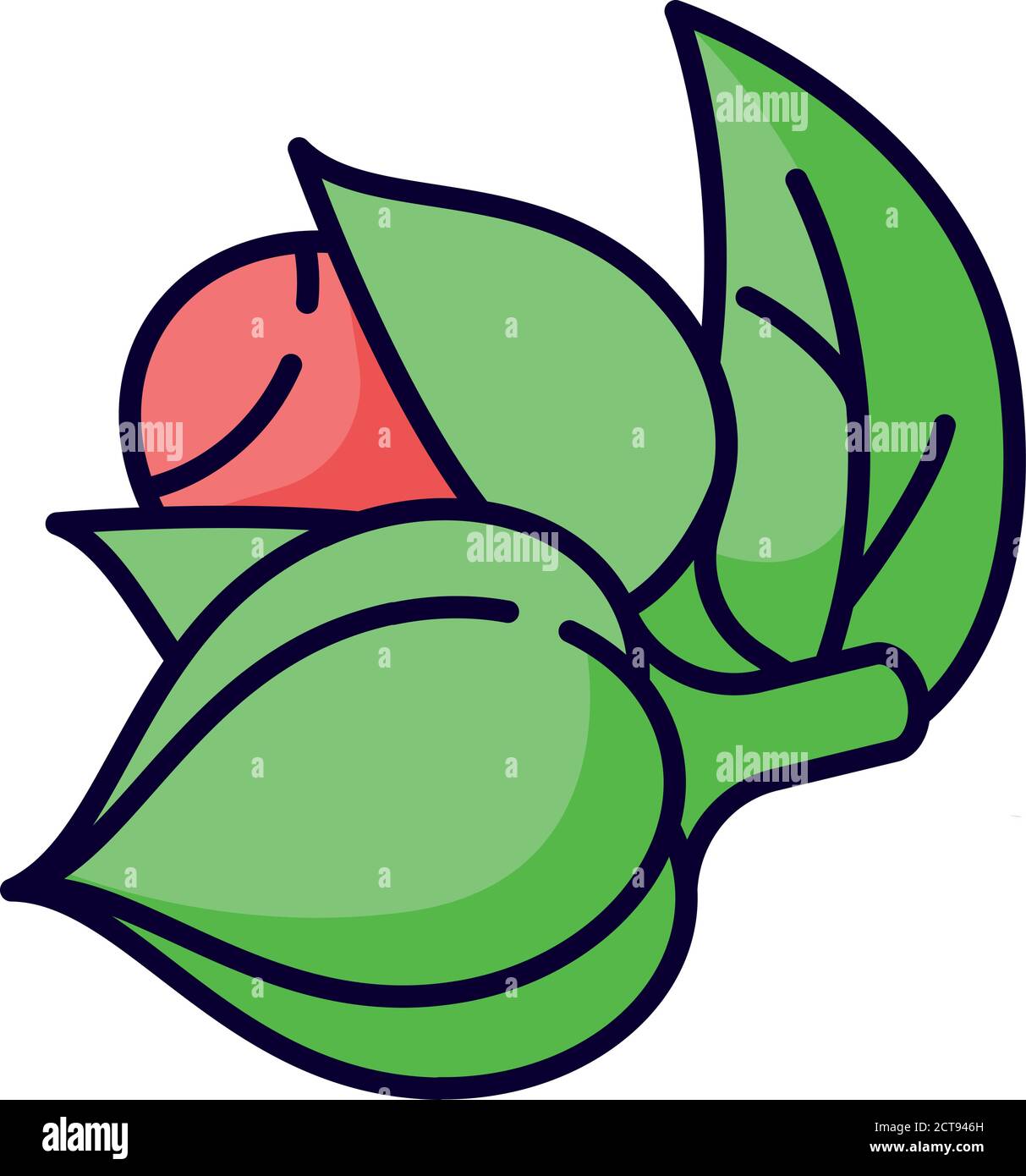 Guarana RGB color icon Stock Vector Image & Art - Alamy