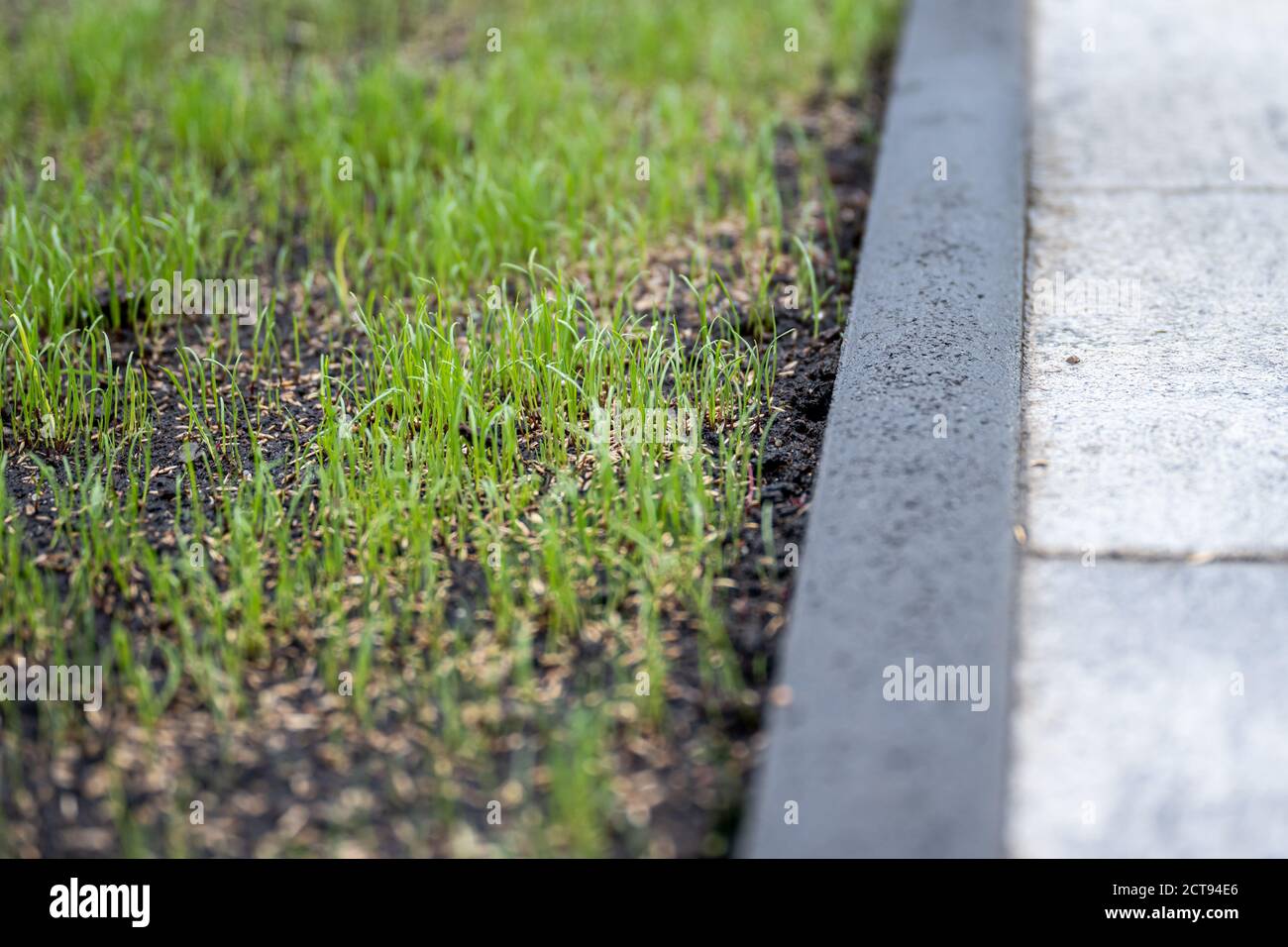 Grains and rain garden with nature hi-res stock photography and images ...