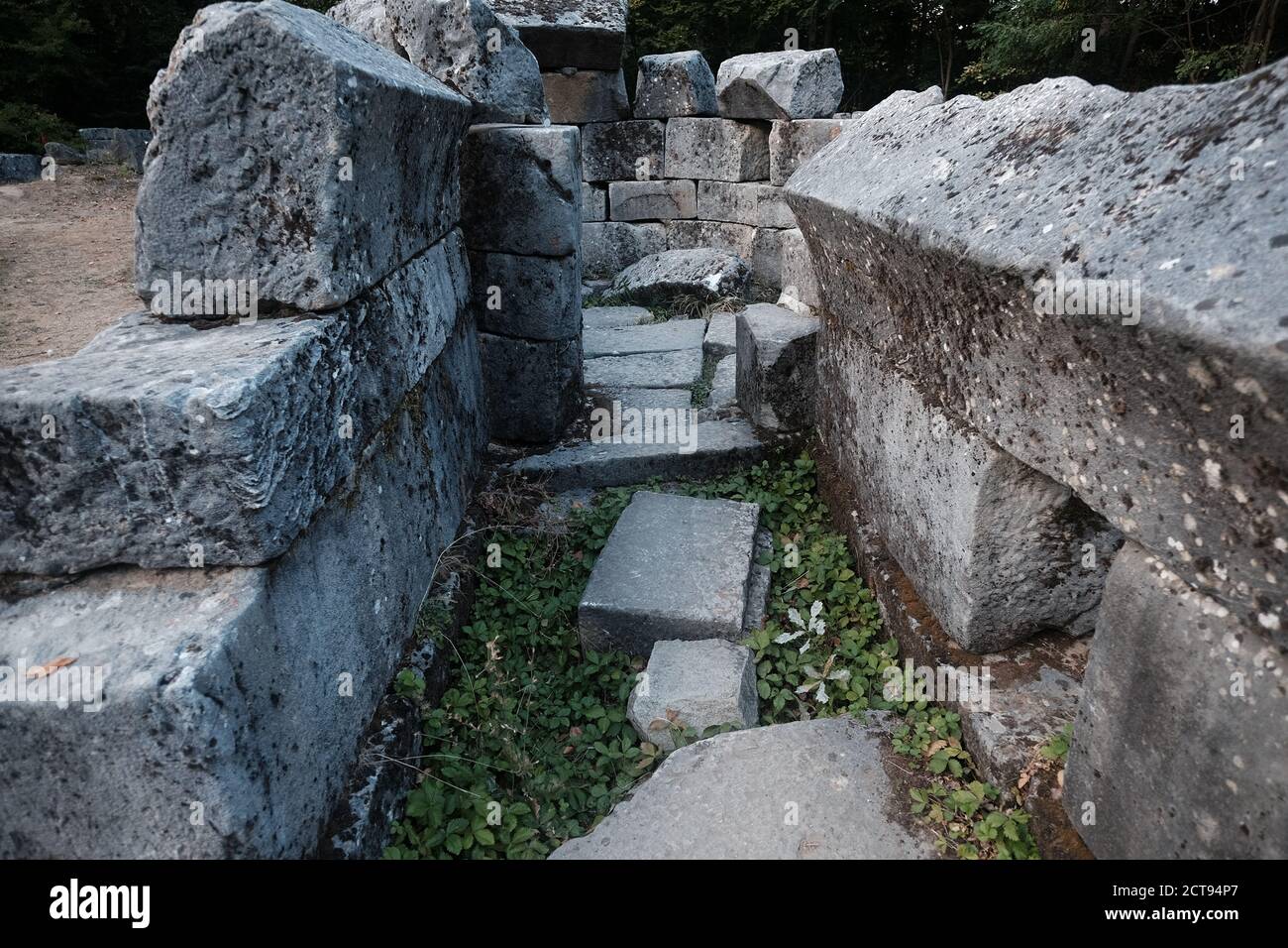 Mouse levels hi-res stock photography and images - Alamy