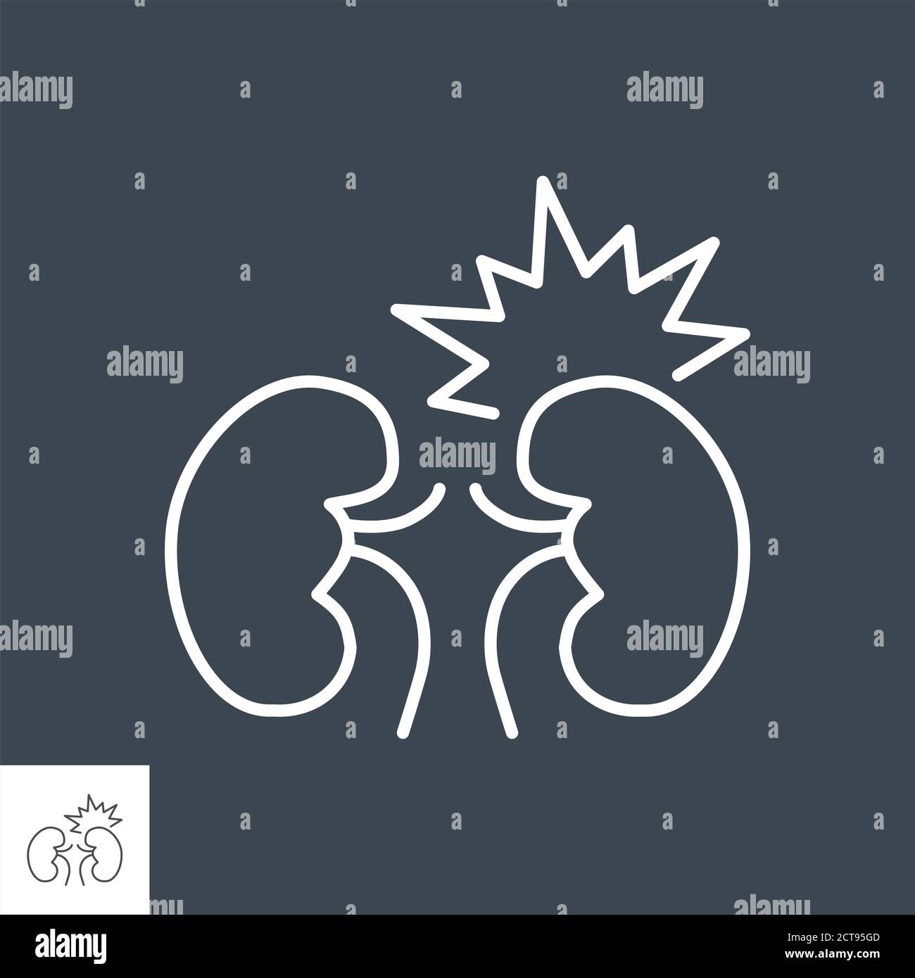 Human kidney icon outline Stock Vector Images - Alamy