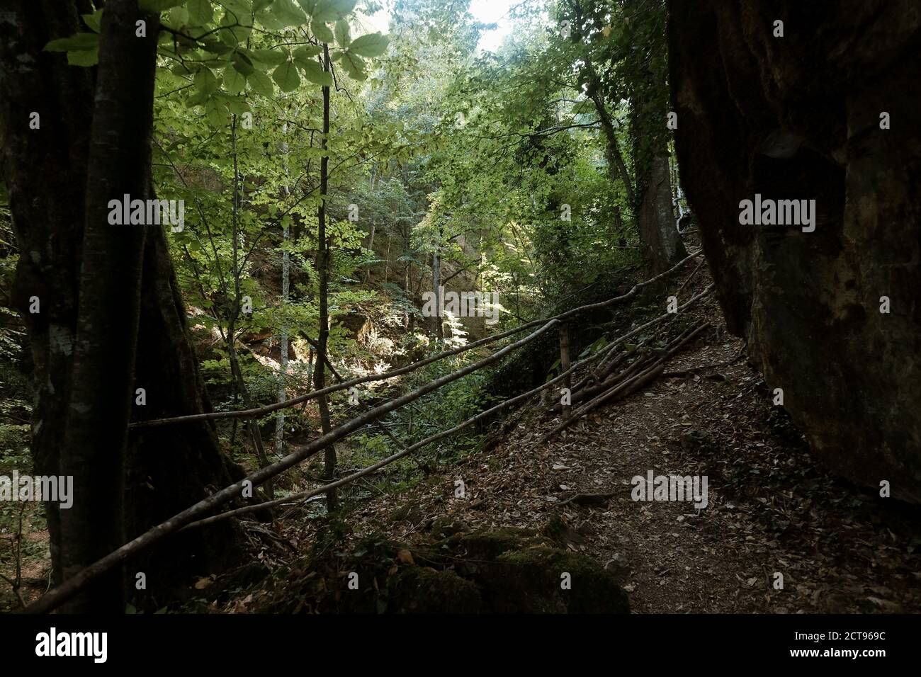 Strandzha mountain, Bulgaria Stock Photo - Alamy