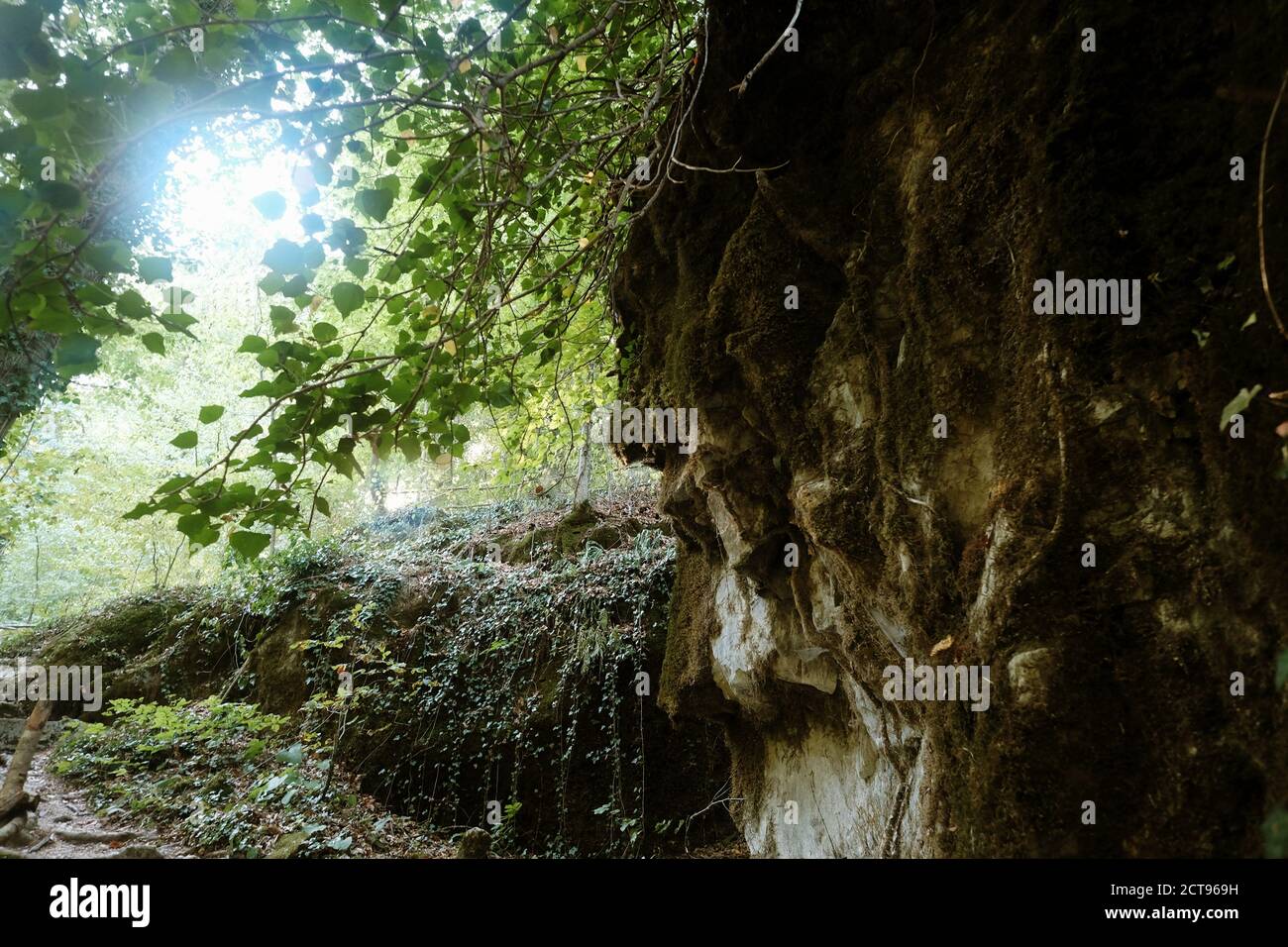 Strandzha mountain, Bulgaria Stock Photo - Alamy