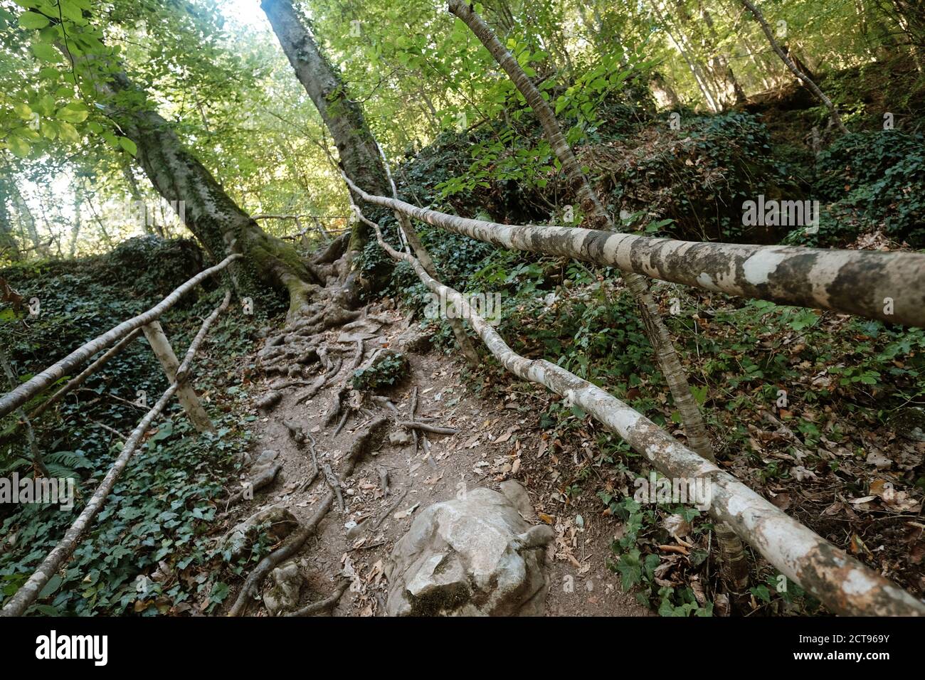 Strandzha mountain, Bulgaria Stock Photo - Alamy