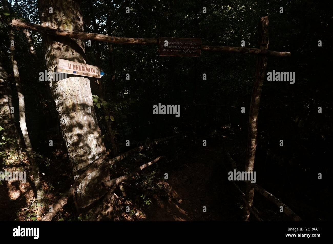 Strandzha mountain, Bulgaria Stock Photo - Alamy