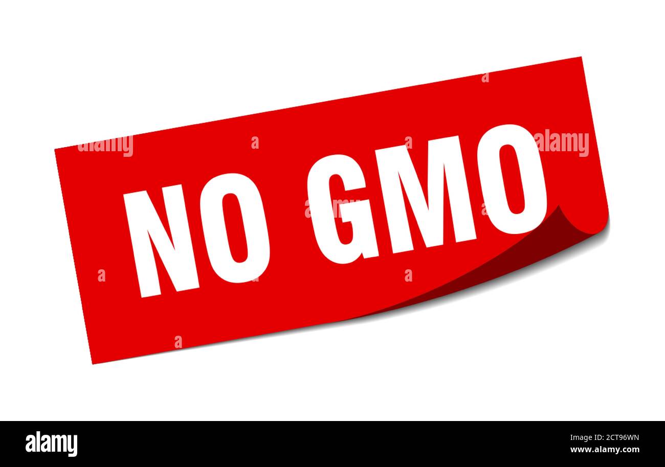 no gmo sticker. square isolated peeler sign. label Stock Vector Image ...