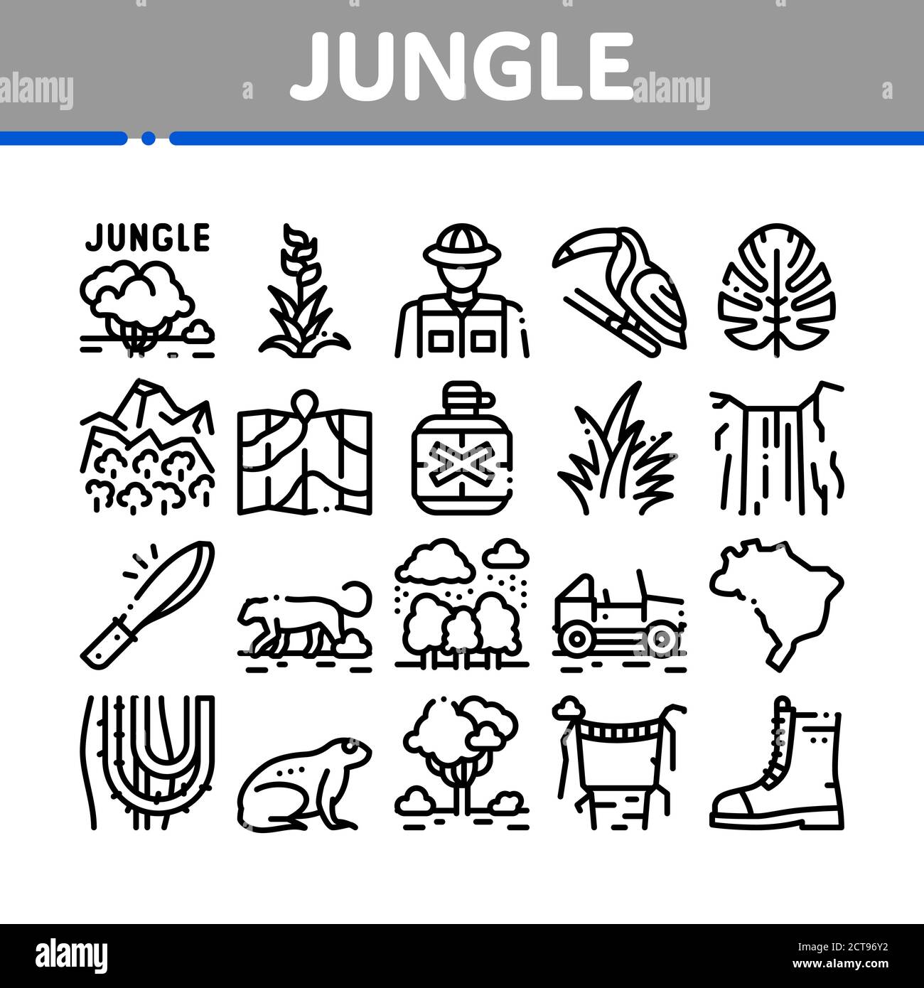 Jungle Tropical Forest Collection Icons Set Vector Stock Vector Image ...