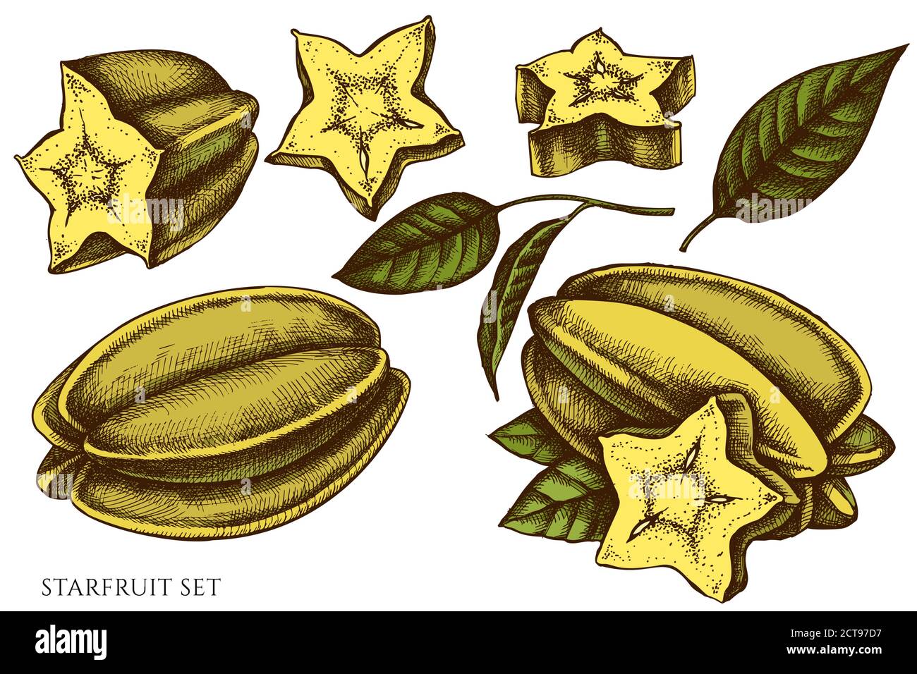 Vector set of hand drawn colored starfruit Stock Vector Image & Art - Alamy