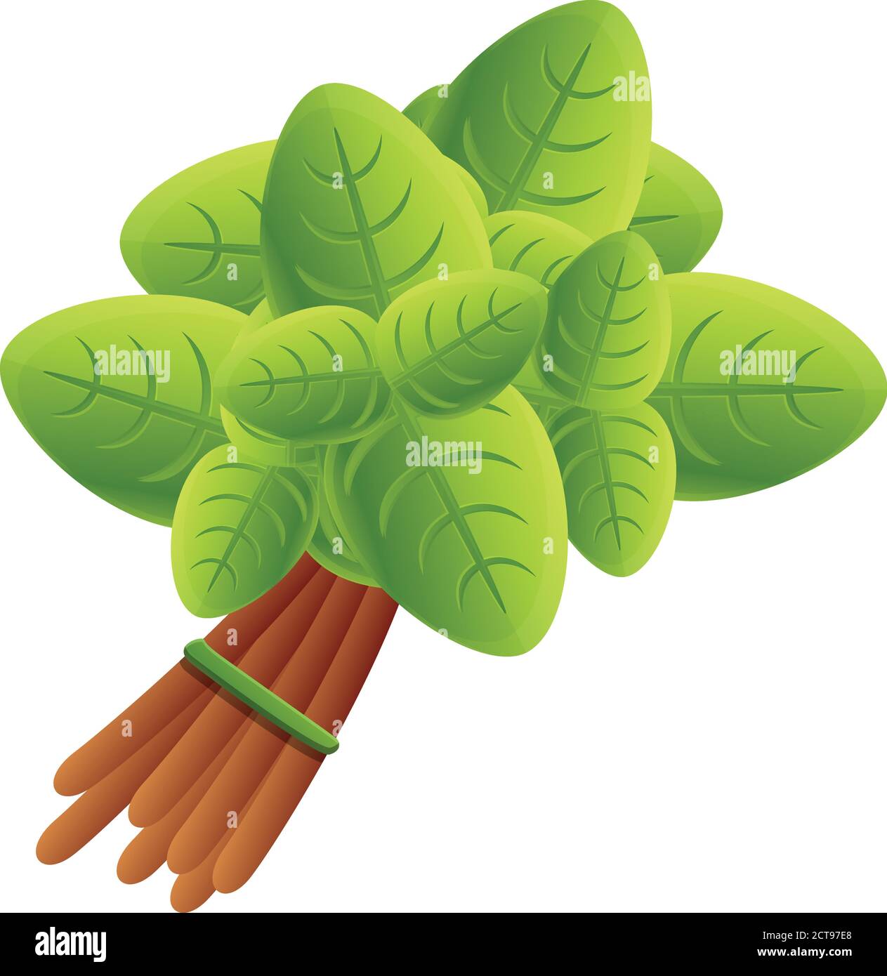 Basil branch icon. Cartoon of basil branch vector icon for web design ...