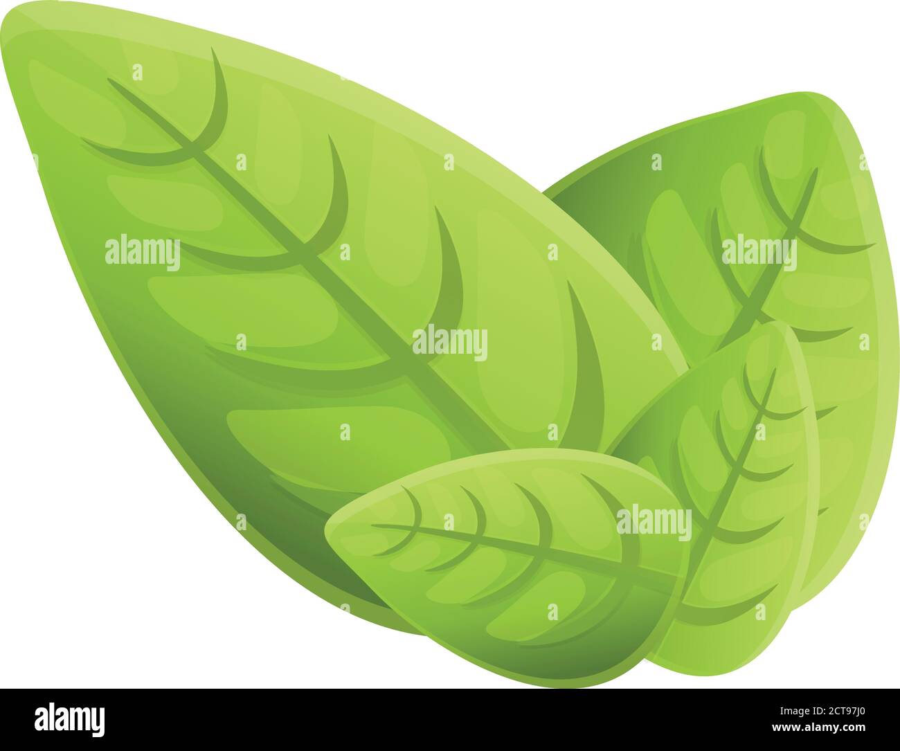 Basil culinary icon. Cartoon of basil culinary vector icon for web ...