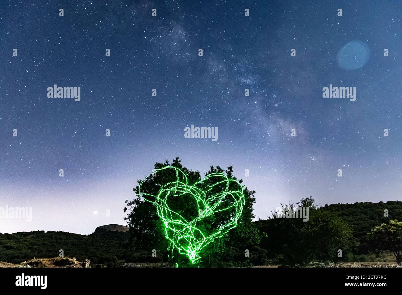 Tree with neon green lights under the milky way during nighttime, in ...