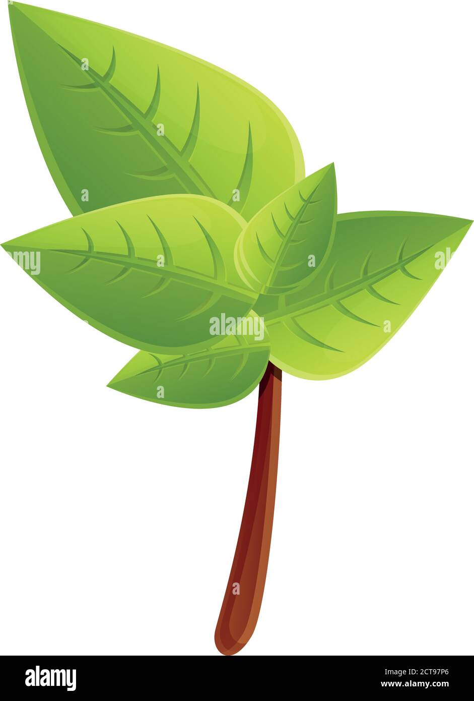 Basil leaf icon. Cartoon of basil leaf vector icon for web design ...