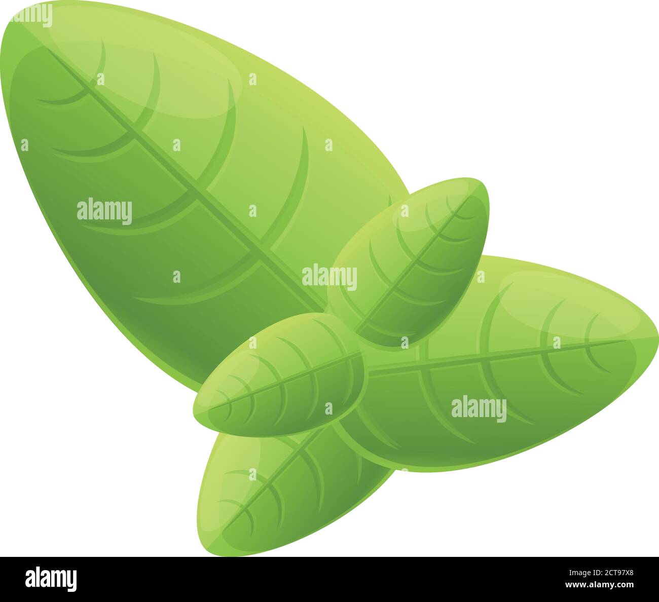 Basil herb icon. Cartoon of basil herb vector icon for web design ...