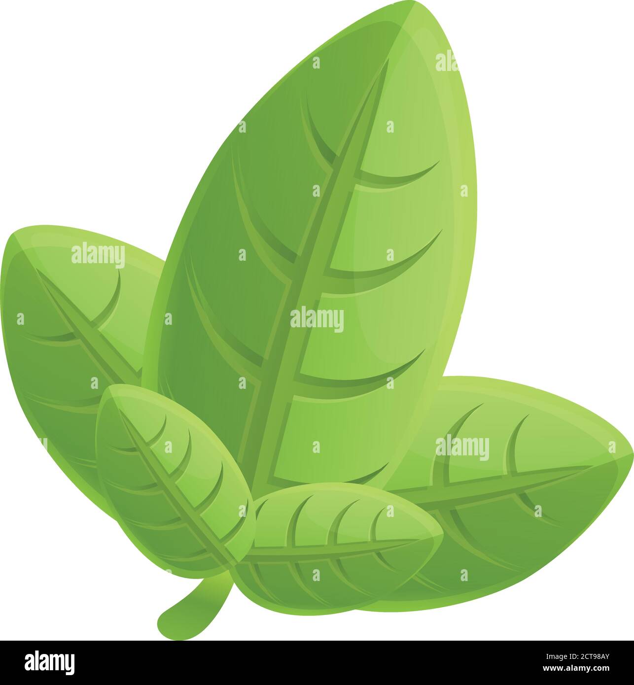 Basil dieting icon. Cartoon of basil dieting vector icon for web design ...