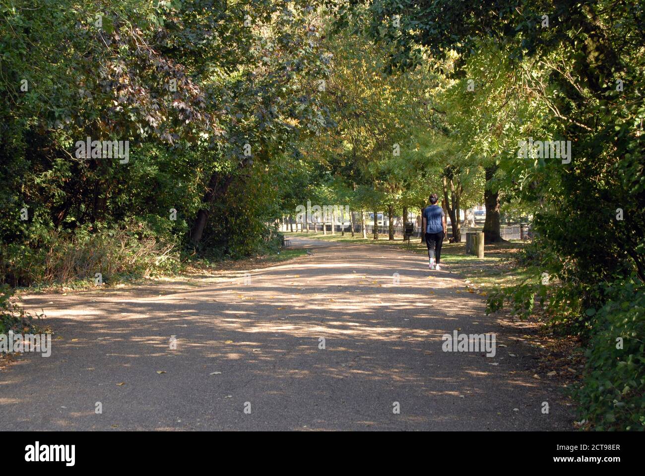 Woods Path,Peckham Rye Park Stock Photo - Alamy