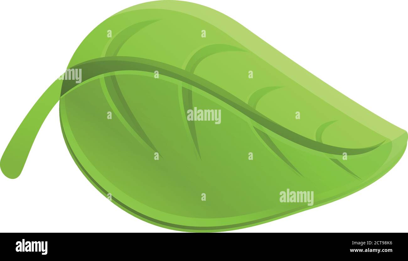 Basil relish icon. Cartoon of basil relish vector icon for web design ...