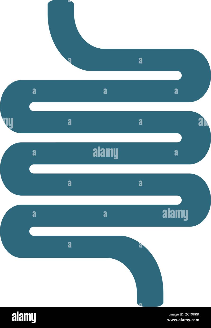 Human intestine colored icon. Healthy internal organ symbol Stock ...