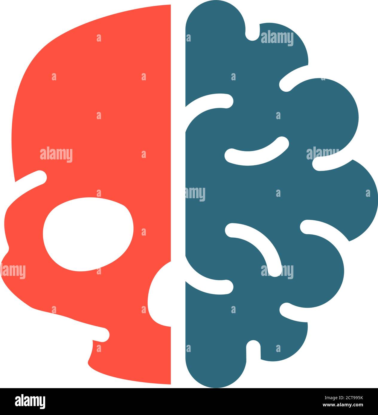 Central Nervous System Diagram High Resolution Stock Photography and ...