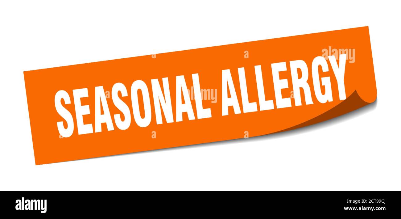 seasonal allergy sticker. square isolated peeler sign. label Stock ...