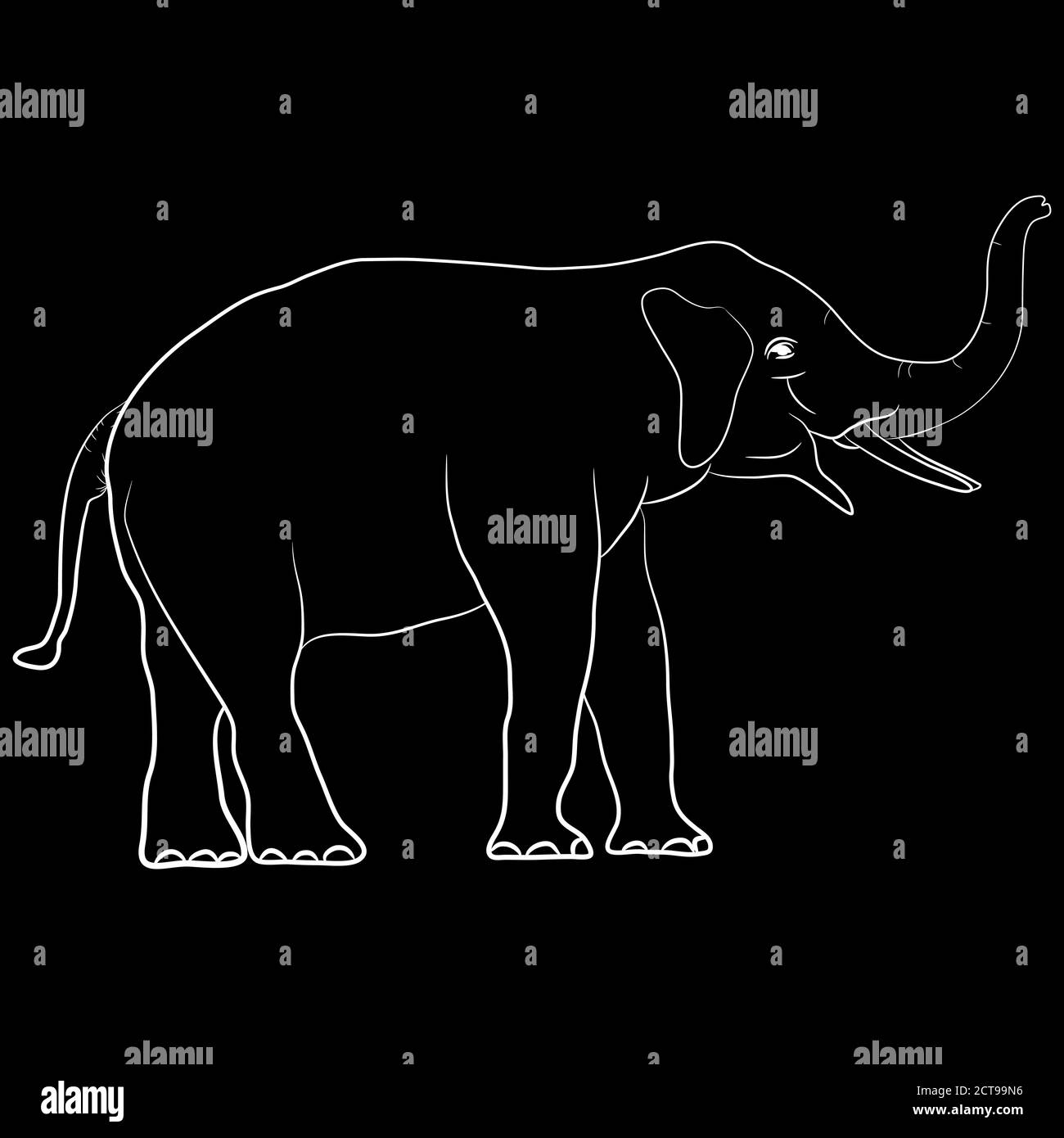 Elephant Body Outline