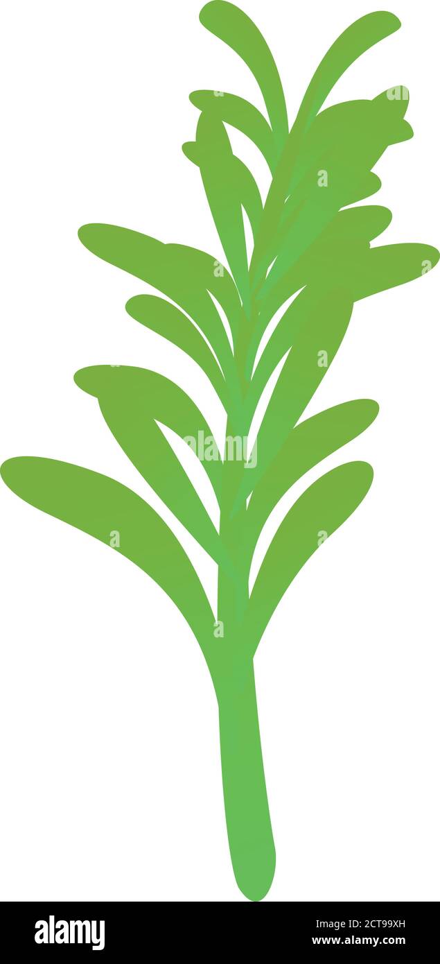Rosemary food icon. Cartoon of rosemary food vector icon for web design ...