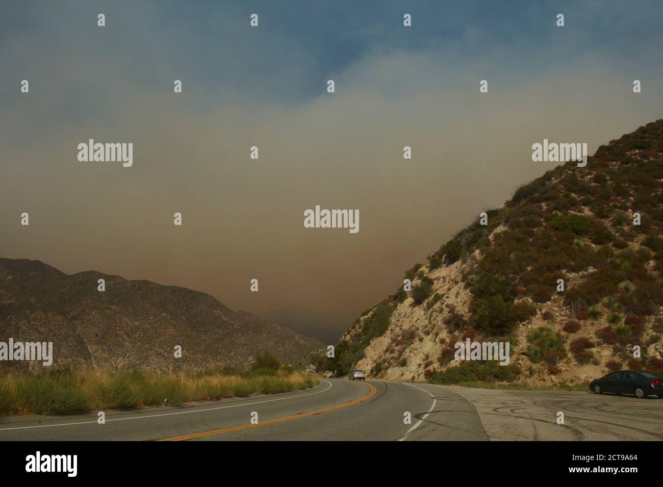 Juniper forest fire hi-res stock photography and images - Alamy