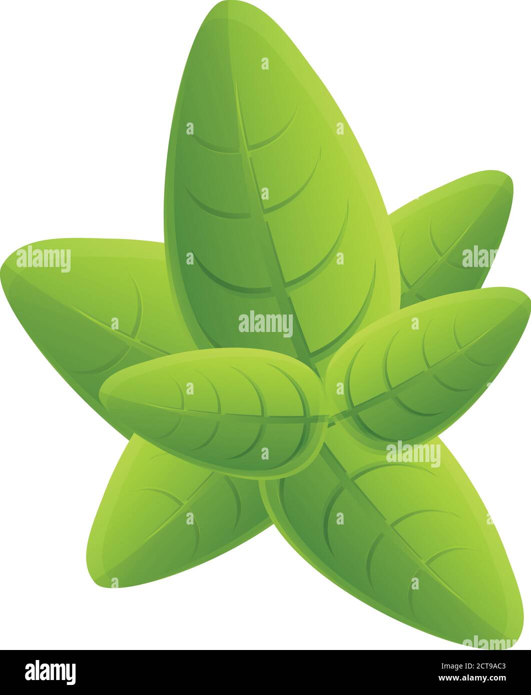 Basil agriculture icon. Cartoon of basil agriculture vector icon for ...