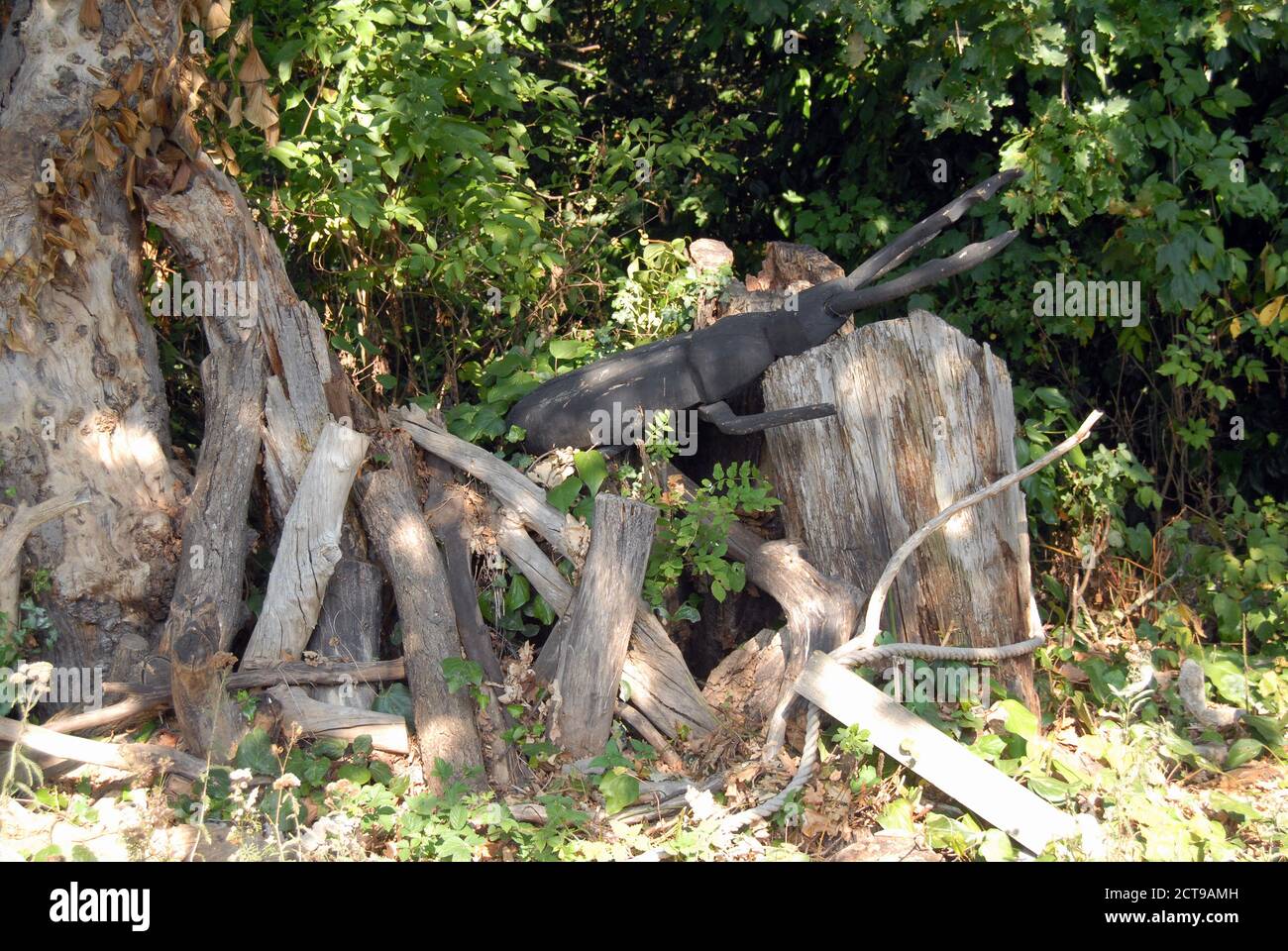 Bug shack for insects hi-res stock photography and images - Alamy