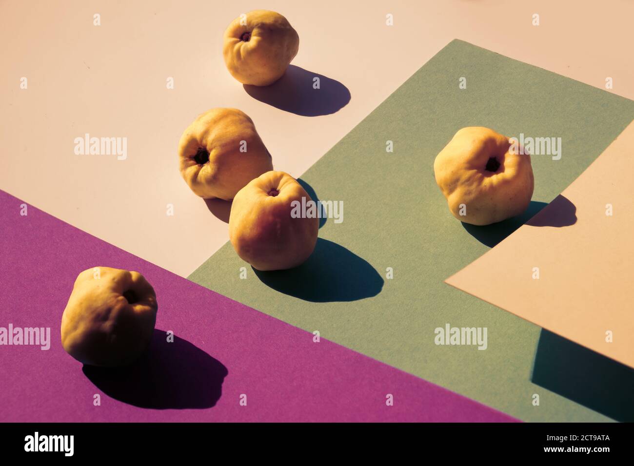 Moody yellow, green and purple Autumn color palette with quince fruits ...