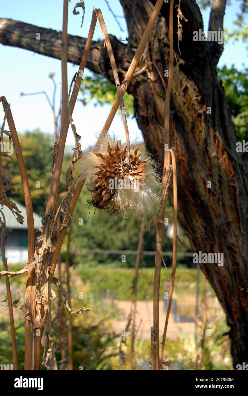 Peckham Rye Park Stock Photo - Alamy
