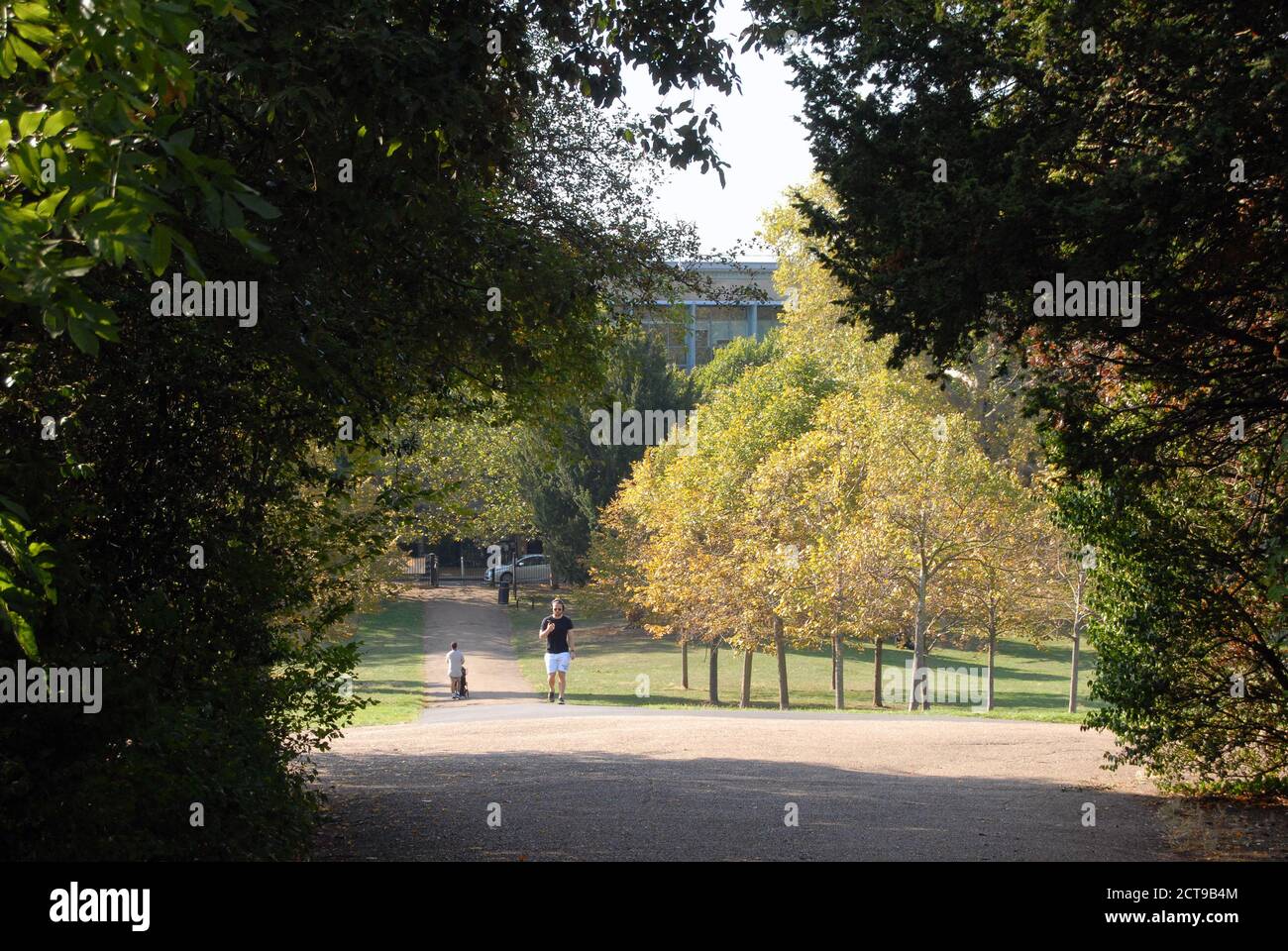 Open space at Peckham Rye Park Stock Photo - Alamy