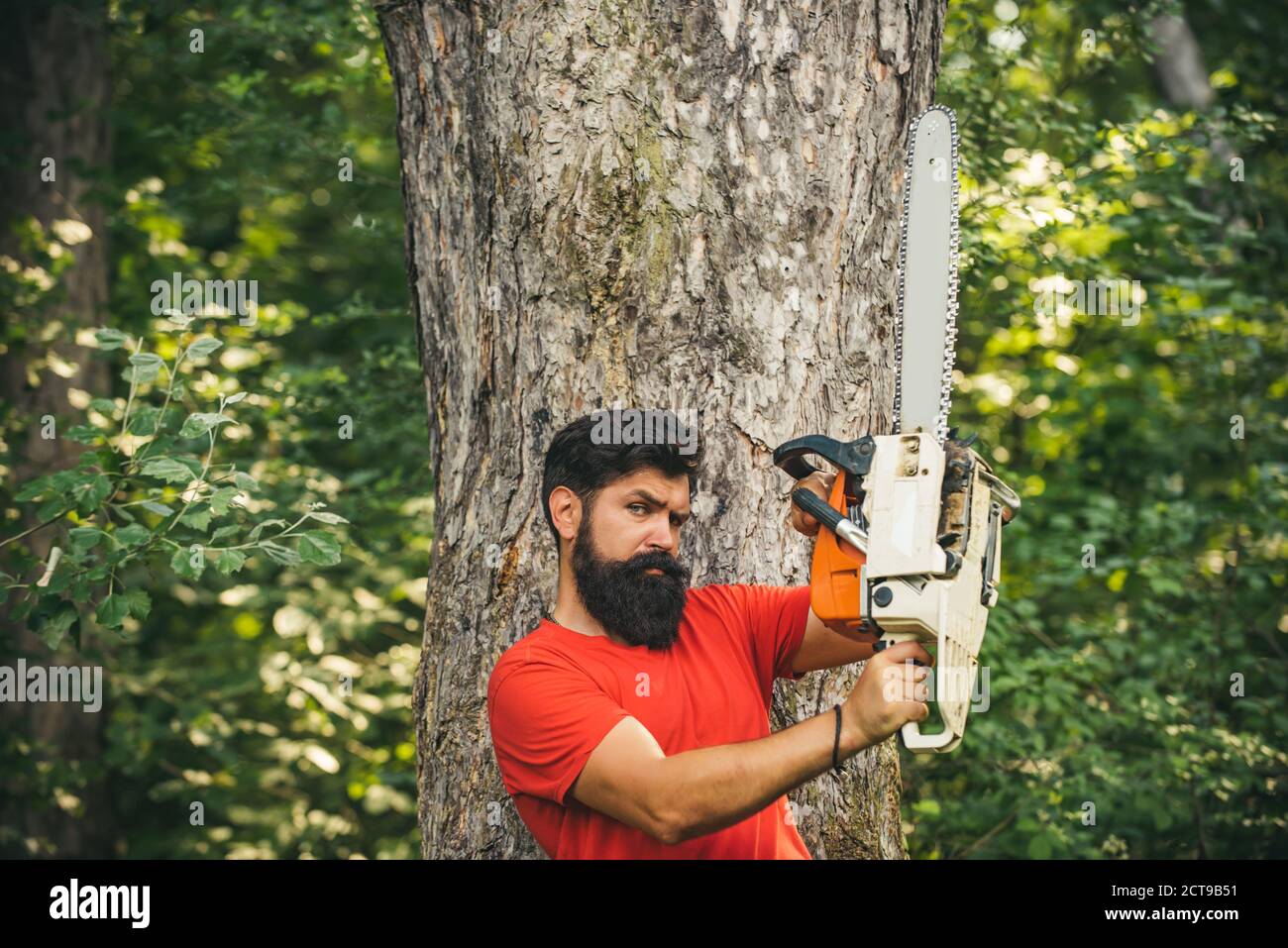 Harvest of timber. Agriculture and forestry theme. Woodworkers ...