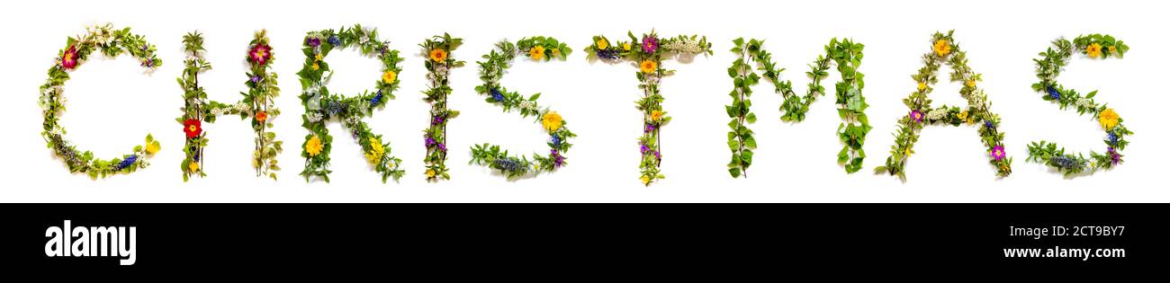 Flower And Blossom Letter Building Word Christmas Stock Photo - Alamy