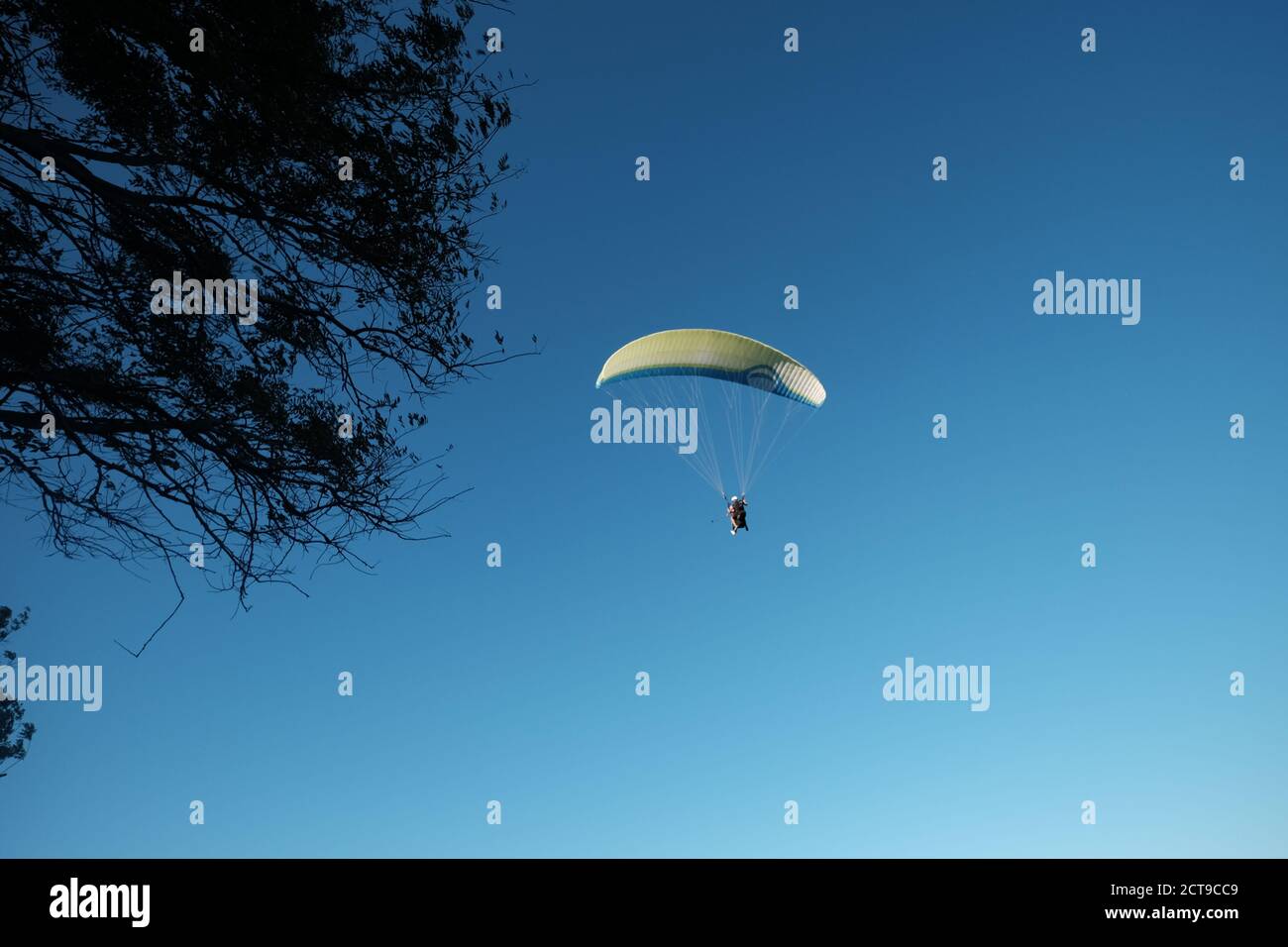 Paraplanner High Resolution Stock Photography and Images - Alamy