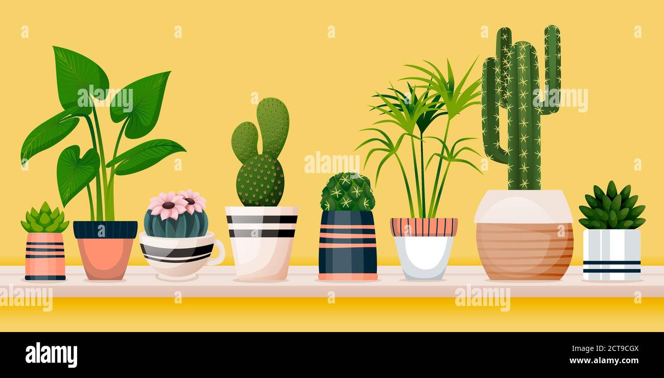 Home plant in yellow Stock Vector Images - Alamy