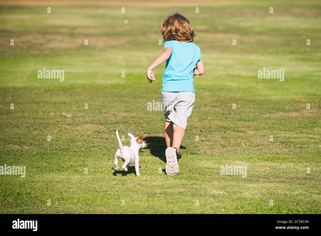Happy kid run with a dog outdoor Stock Photo - Alamy
